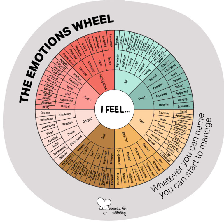The wheel of emotions and feelings • Recipes for Wellbeing